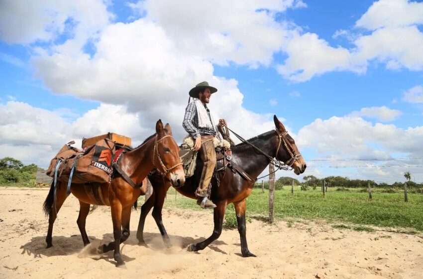El joven colombiano pide ayuda para regresar con sus mulas | Radio ...