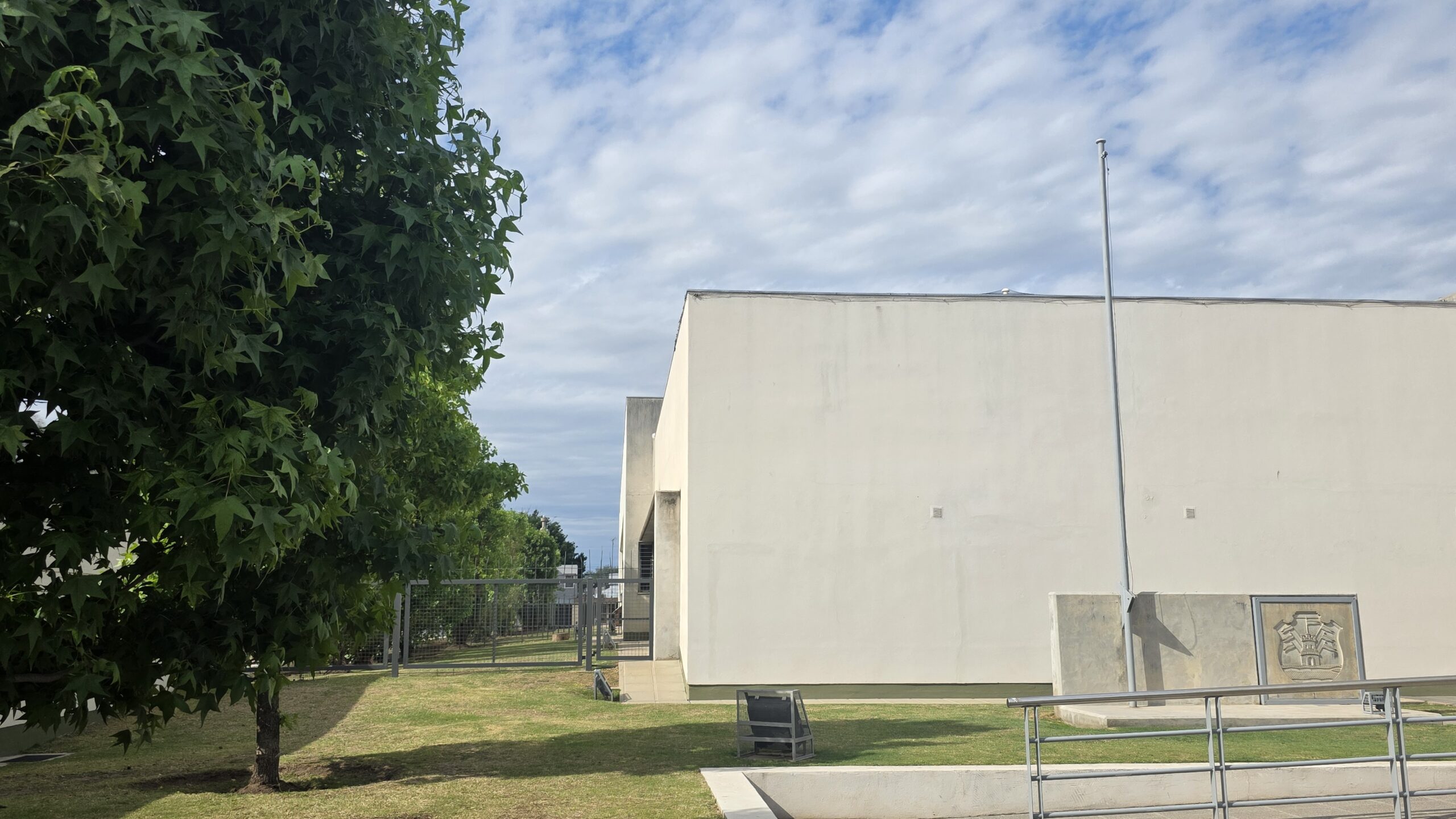 Un hombre murió al caer mientras podaba un árbol en Tribunales de Jesús María | Radio Jesús María