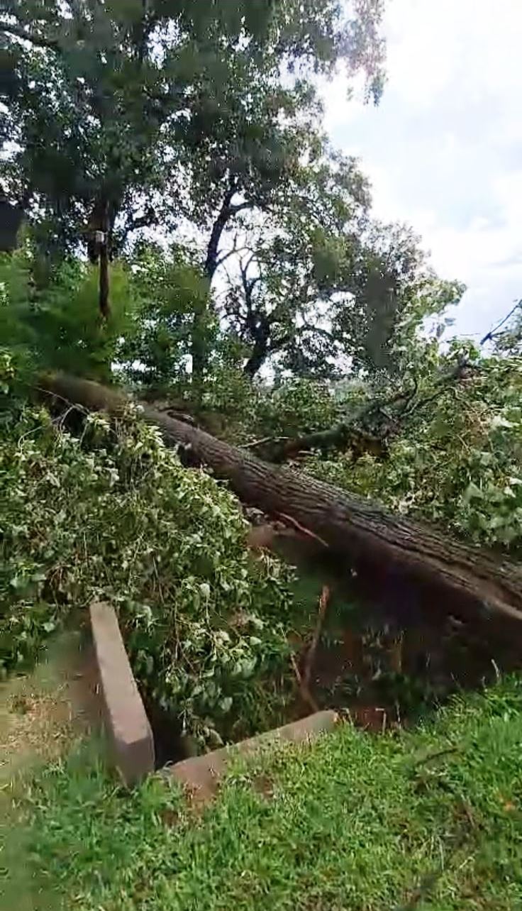 La tormenta causó daños en la red eléctrica y generó cortes de energía ...